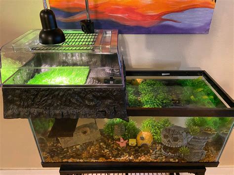 Red Eared Slider Set Up Turtle Tank Turtle Aquarium Turtle Habitat