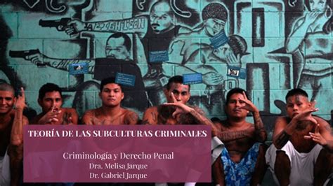 UNRN TEORÍA DE LAS SUBCULTURAS CRIMINALES by Melisa Jarque on Prezi Next