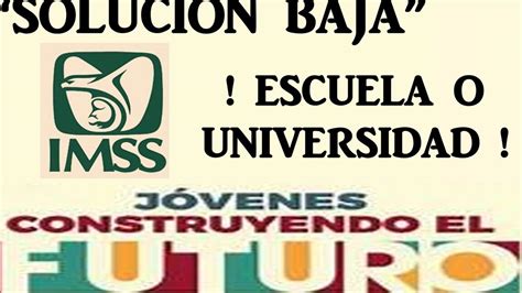 Registro IMSS Digital Inscripción en el IMSS como estudiante con