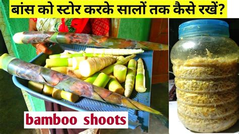 बस करल bamboo shoots Bamboo shoot storage how to make bamboo