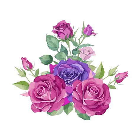 バラの美しい水彩花イラストフリー素材透過PNG画像ベクトルPSDと無料ダウンロード Pngtree