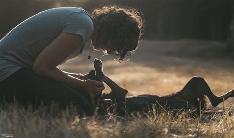 Kann Dein Hund Nicht Alleine Bleiben Melanie M Ller Hundecoaching