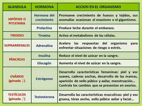 Biología didáctica NSC 2 Sistema Endocrino