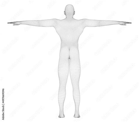Beautiful Naked Man Poses Male Body D Wireframe Vector Stock
