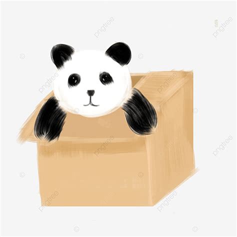 Panda Png Transparent Panda In A Box Watercolor Handdrawn Cartoon