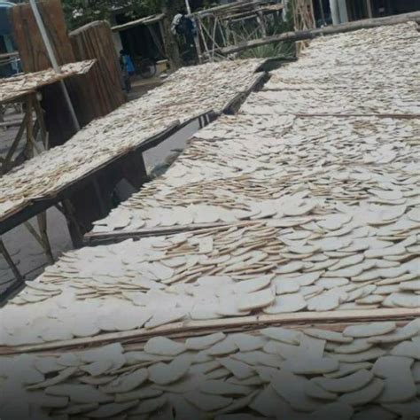 Jual 1kg Kerupuk Ikan Payus Khas Sedayu Gresik Shopee Indonesia