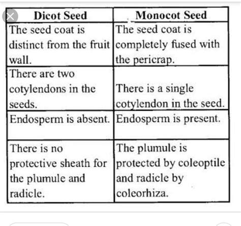 A Table To Compare Monocots Vs Dicots