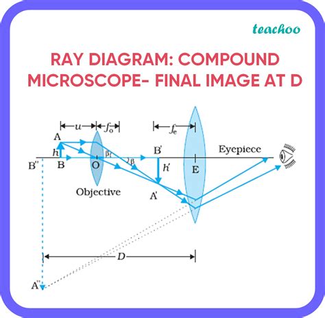 Draw The Ray Diagram Of Image Formation In Case Of Compound Microscope