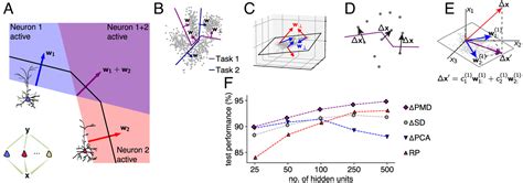 nmda driven dendritic modulation enables multitask representation learning in hierarchical