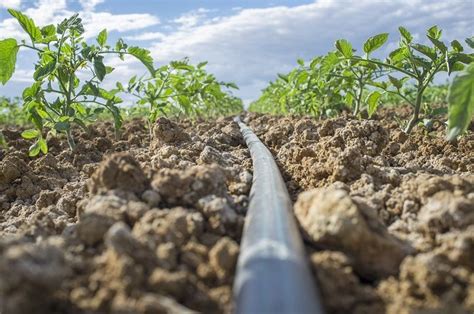Commonly Used Pipes In Modern Irrigation System Artofit