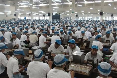 PT Djarum Indonesia Membuka Lowongan Pekerjaan Sebagai Tobacco Trainee