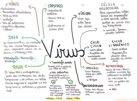 Vírus resumos e mapas mentais Infinittus
