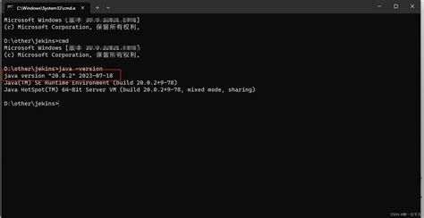 windows安装java教程 jdk20 0 1如何安装 csdn博客