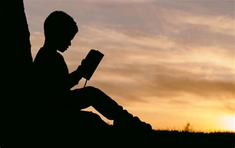 Proverbes C L Bres En Bourse Apprendre Investir