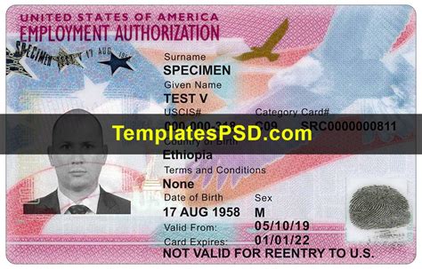 Usa Employment Authorization Document Template Psd