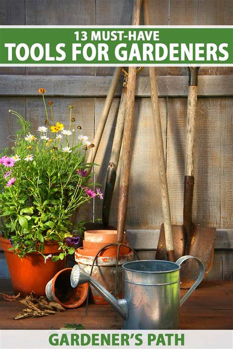 Essential Gardening Tools Cyril Docketook