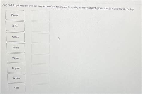 Solved Drag And Drop The Terms Into The Sequence Of The Chegg