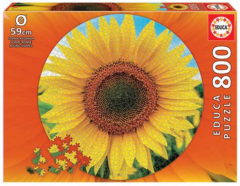 Top 55 Imagen Dominio Girasol Abzlocal Mx