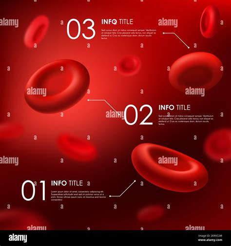 Red Blood Cells Infographics 3d Vector Hemoglobin Human Body Anatomy