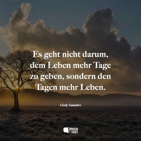 Es Geht Nicht Darum Dem Leben Mehr Tage Zu Geben Sondern Den Tagen