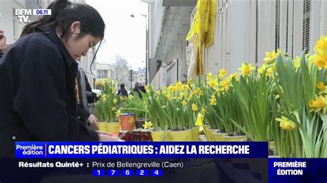 Linstitut Curie Lance Sa Campagne Annuelle Une Jonquille Contre Le