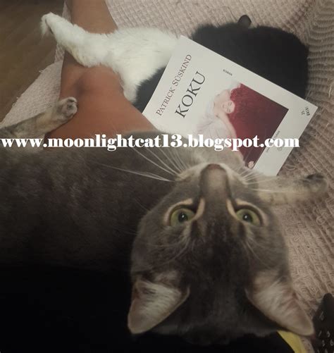 Moonlightcat Koku Patrick S Skind Yaz Okuma Enli I