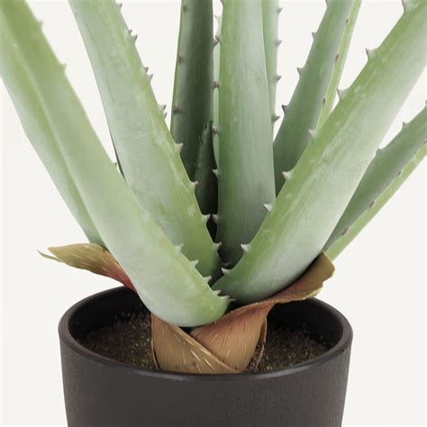 Aloe Vera Artificiel 35cm