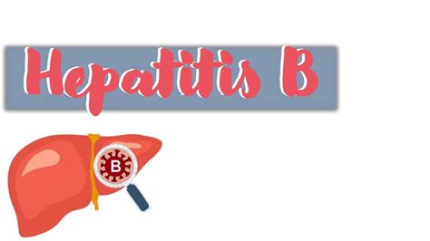 Hepatitis B Doctor Teco UDocz