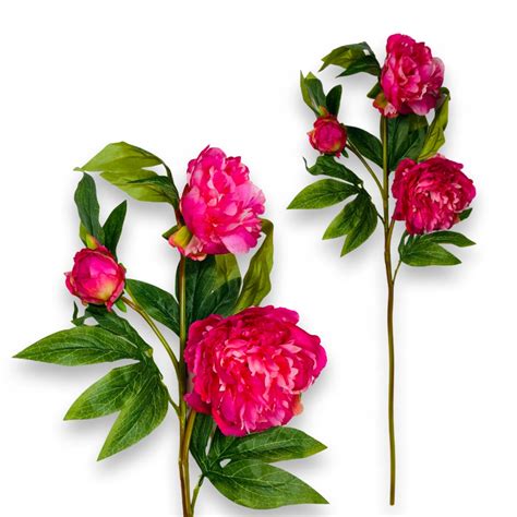PIWONIA PEONIA SZTUCZNE KWIATY DO WAZONU PIWONIE HD00455 Cena
