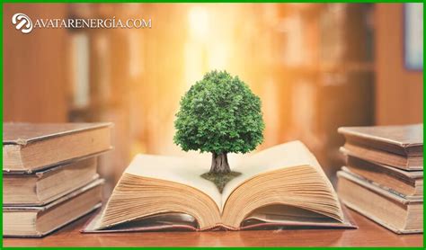 Qué es la educación ambiental Cuáles son sus objetivos y tipos