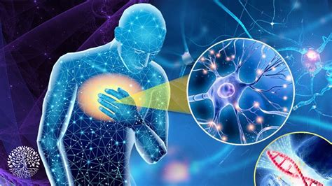 Frecuencia 432 Hz Restaurar y cura todo el cuerpo sanación emocional