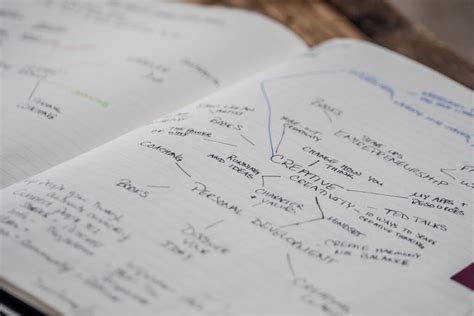 Como organizar os estudos para concurso público Manda Brasa Concursos