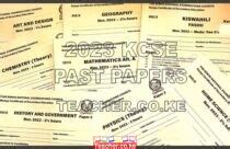 2023 END TERM 2 FORM 1 2 3 4 EXAMS PLUS MARKING SCHEME Teacher Co Ke