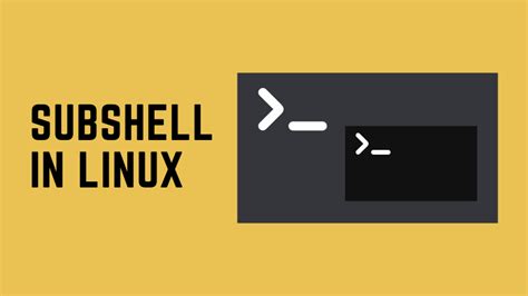 C Mo Ejecutar Scripts De Shell Bash Desde La L Nea De Comandos De Linux