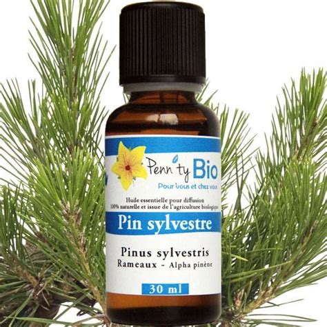 Pin Sylvestre Bio Rameaux Huile Essentielle Penntybio