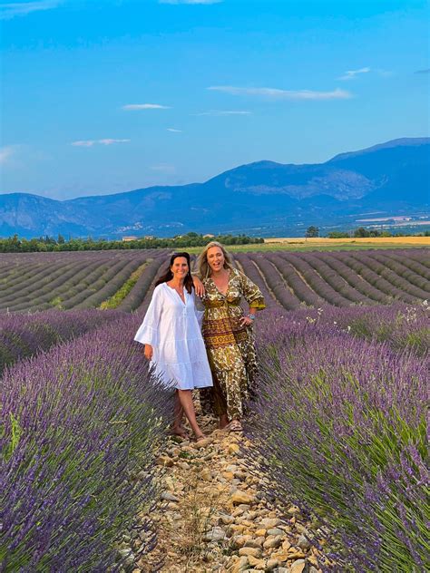 Lavendelfelder in der Provence Tipps für Ihre Reise