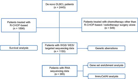 Frontiers Oncogenic Mutations And Tumor Microenvironment Alterations
