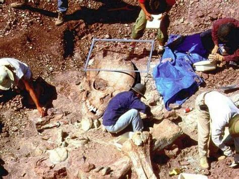 Giant Skeletons Found In Greece MYSTERY HISTORY Nephilim Giants