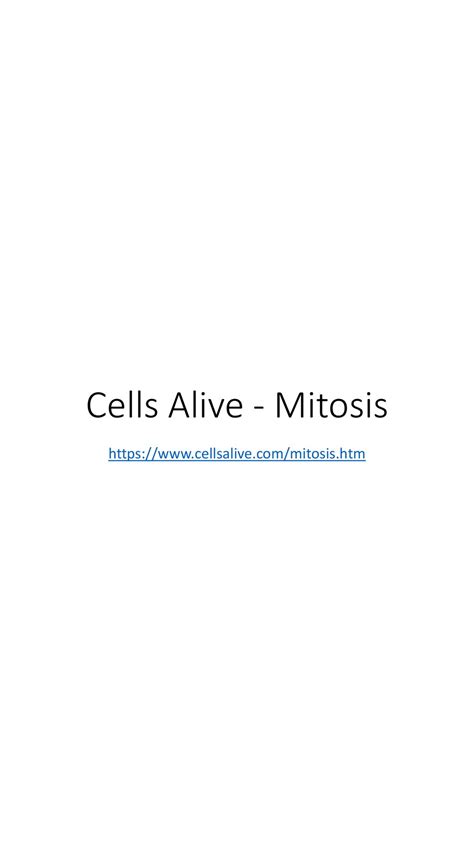 Cells Alive Meiosis Phase Worksheet Answers Cells Alive Mitosis Phase