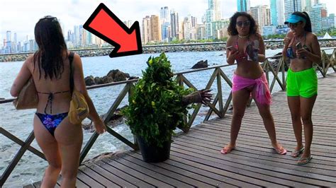 BUSHMAN PRANK THE CRAZIEST AND SCARY FEMALE SCREAMS OF ALL TIME BEST