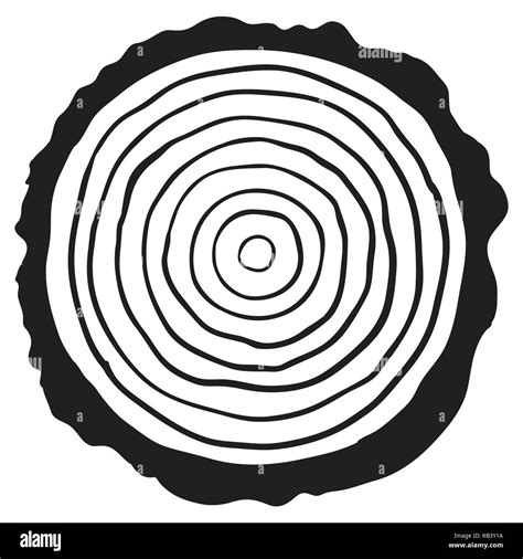 Querschnitt Der Baumstumpf Vector Illustration Stock Vektorgrafik Alamy