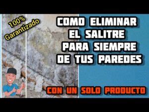 Como Eliminar Para Siempre La Humedad De Las Paredes Sugest Es