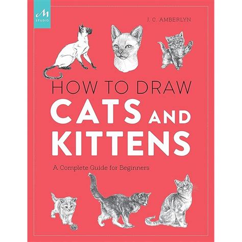 Buy How To Draw Cats And Kittens A Complete Guide For Beginners Online