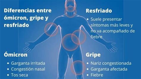 Diferencias Entre Gripe Y Catarro Todo Lo Que Debes Saber