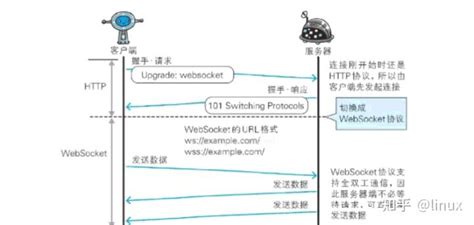 一篇文章彻底搞懂websocket协议的原理与应用（二） 知乎