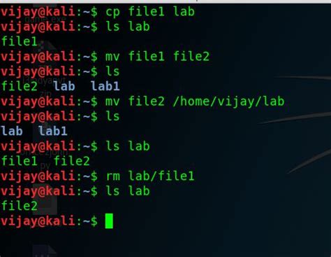 Kali Linux Commands List Basic System Advanced With Examples Beginners