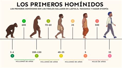 PROCESO EVOLUTIVO DE LOS HOMÍNIDOS