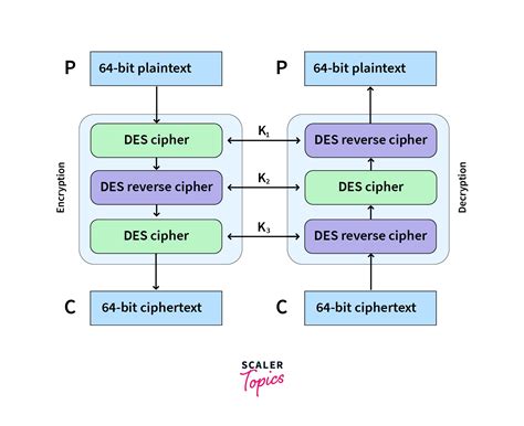 data encryption standard des algorithm scaler topics