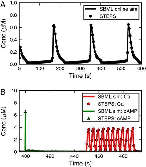 steps efficient simulation of stochastic reaction diffusion models in realistic morphologies