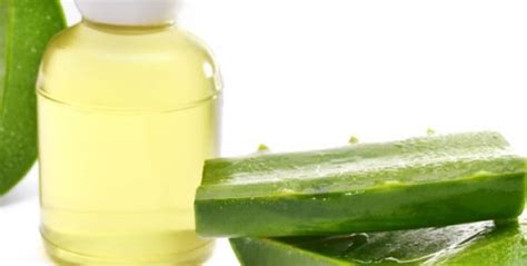 Puedes hacerlo en casa Mira cómo hacer un champú a base de aloe vera